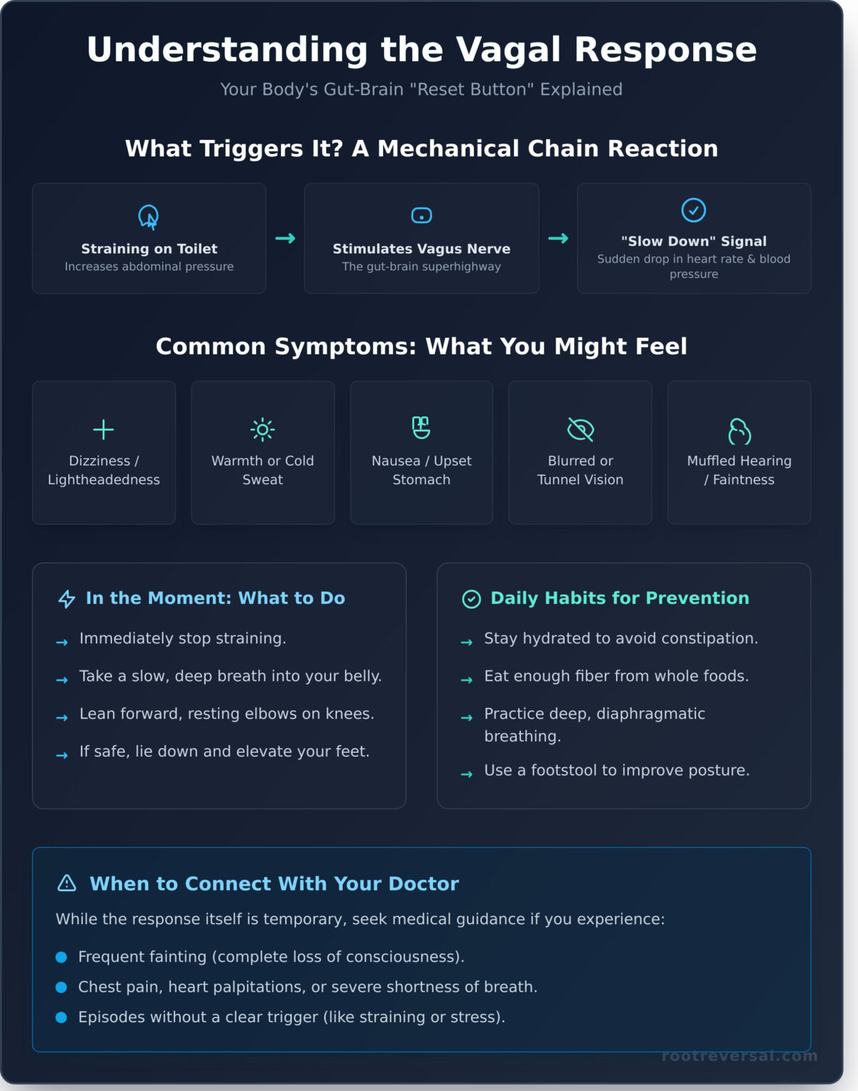 Vagal Response and Bowel Movements: A Gentle Guide – Rootreversal